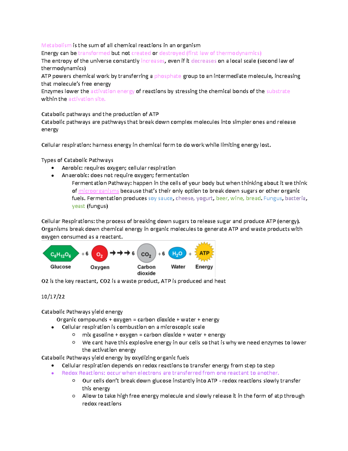 Lecture 14 notes - Metabolism is the sum of all chemical reactions in ...