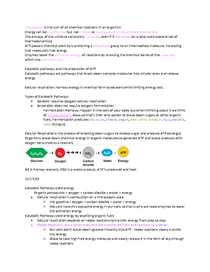 Lecture 15 notes - REVIEW of cellular respiration so far... Glycolysis ...