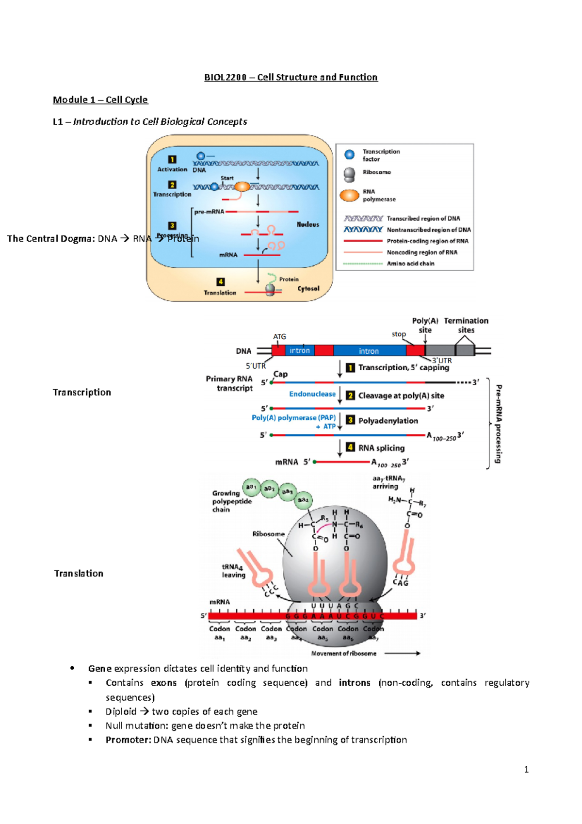 BIOL2200 - Module 1 to 2 - BIOL2200 Cell Structure and Function Module ...