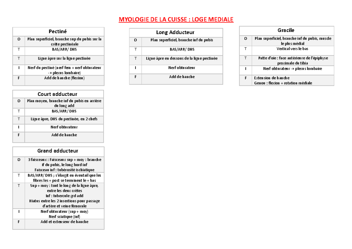 Myologie de la cuisse loge médiale - MYOLOGIE DE LA CUISSE : LOGE ...
