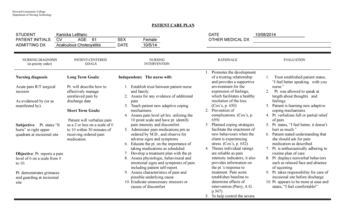 Care Plan - Please just use as guide do not copy - Broward Community ...