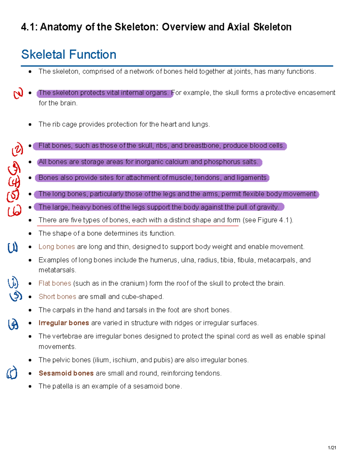 4.1 Anatomy of the Skeleton Overview and Axial Skeleton edited - 1 / 4 ...