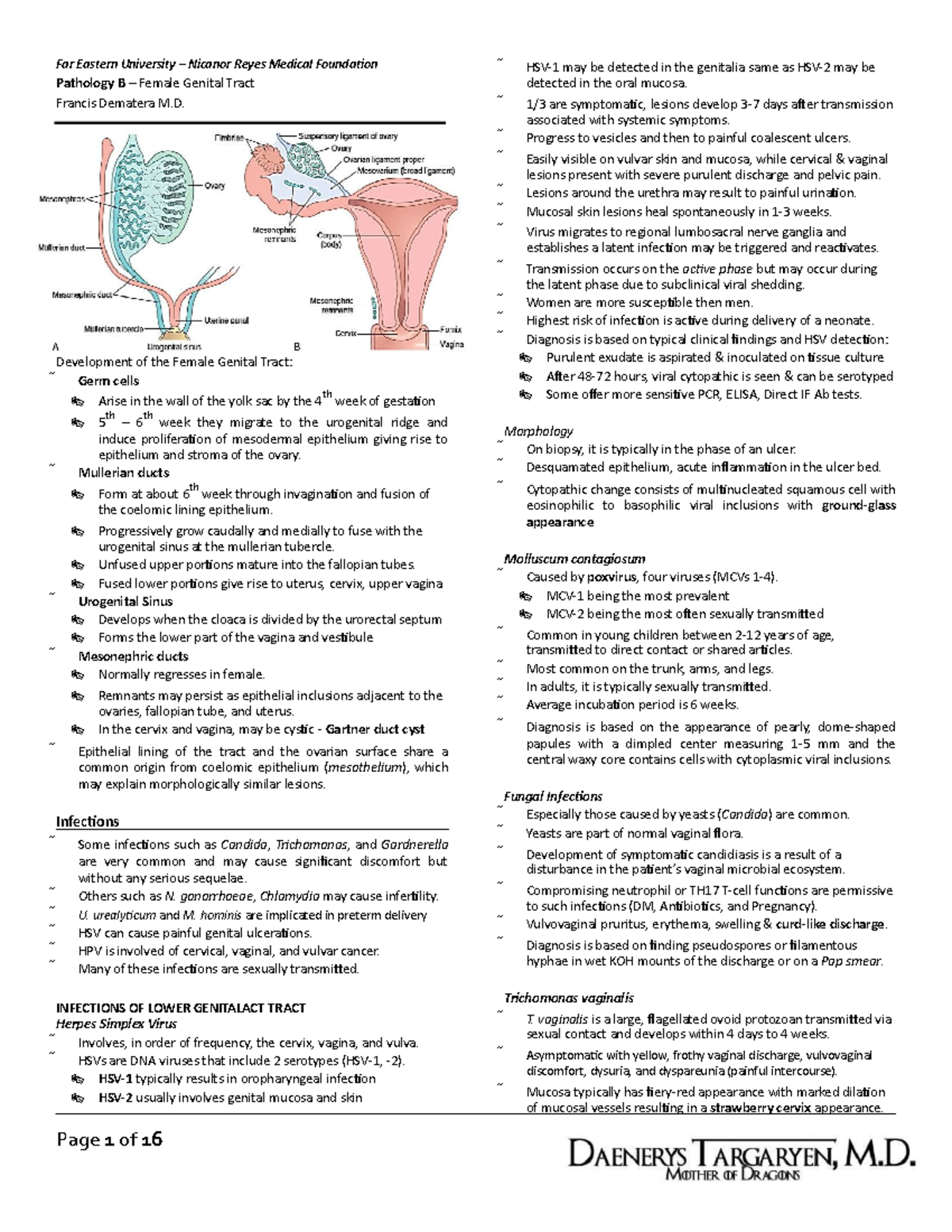 Pathology B Female Genital Tract (Dematera) - Far Eastern University ...