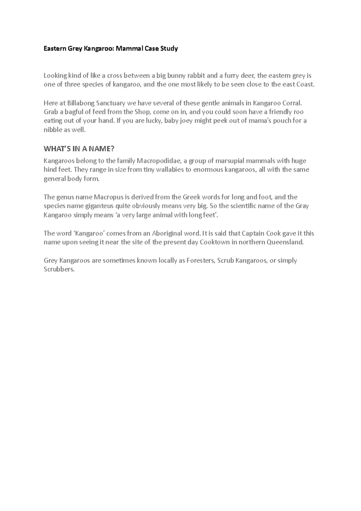 Marsupial Case Study: Eastern Grey Kangaroo - Eastern Grey Kangaroo ...