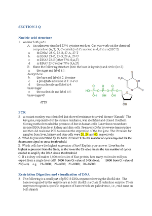 Section 3 Sample Questions Final Exam 2023 - Gene Regulation A ...