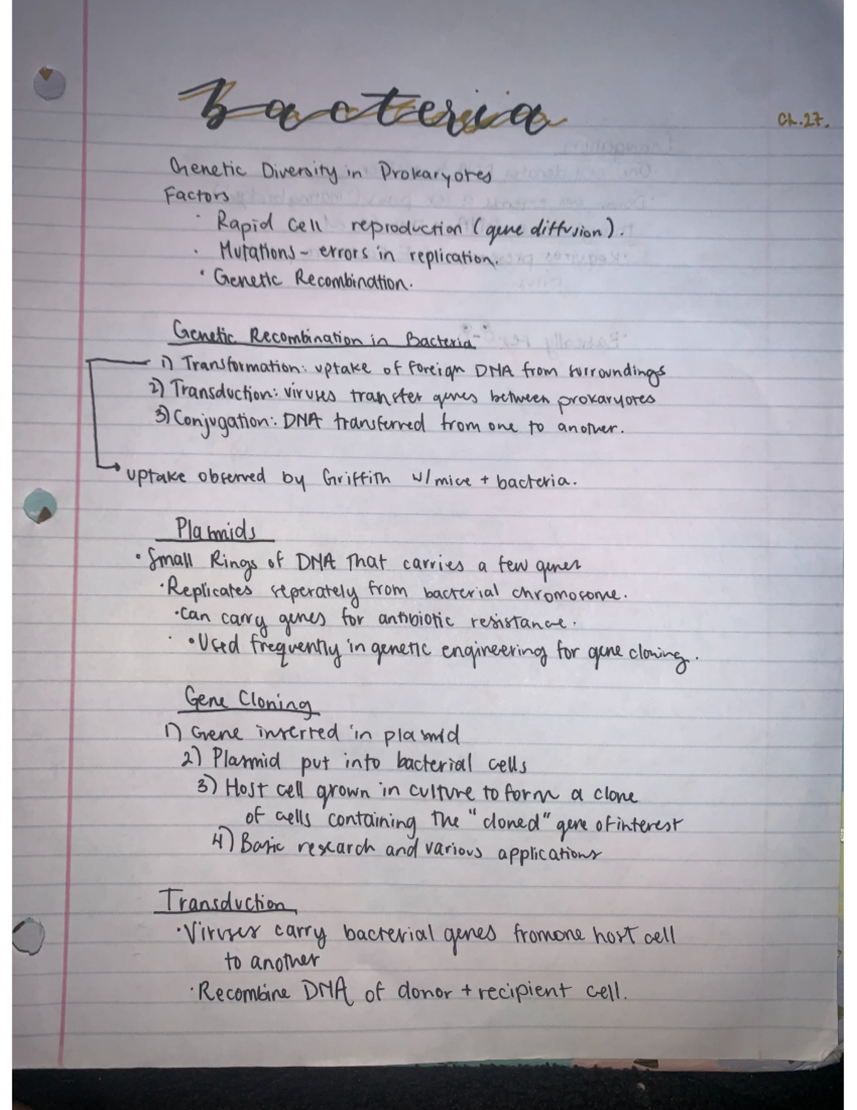 Bacteria AP Bio Notes - Studocu