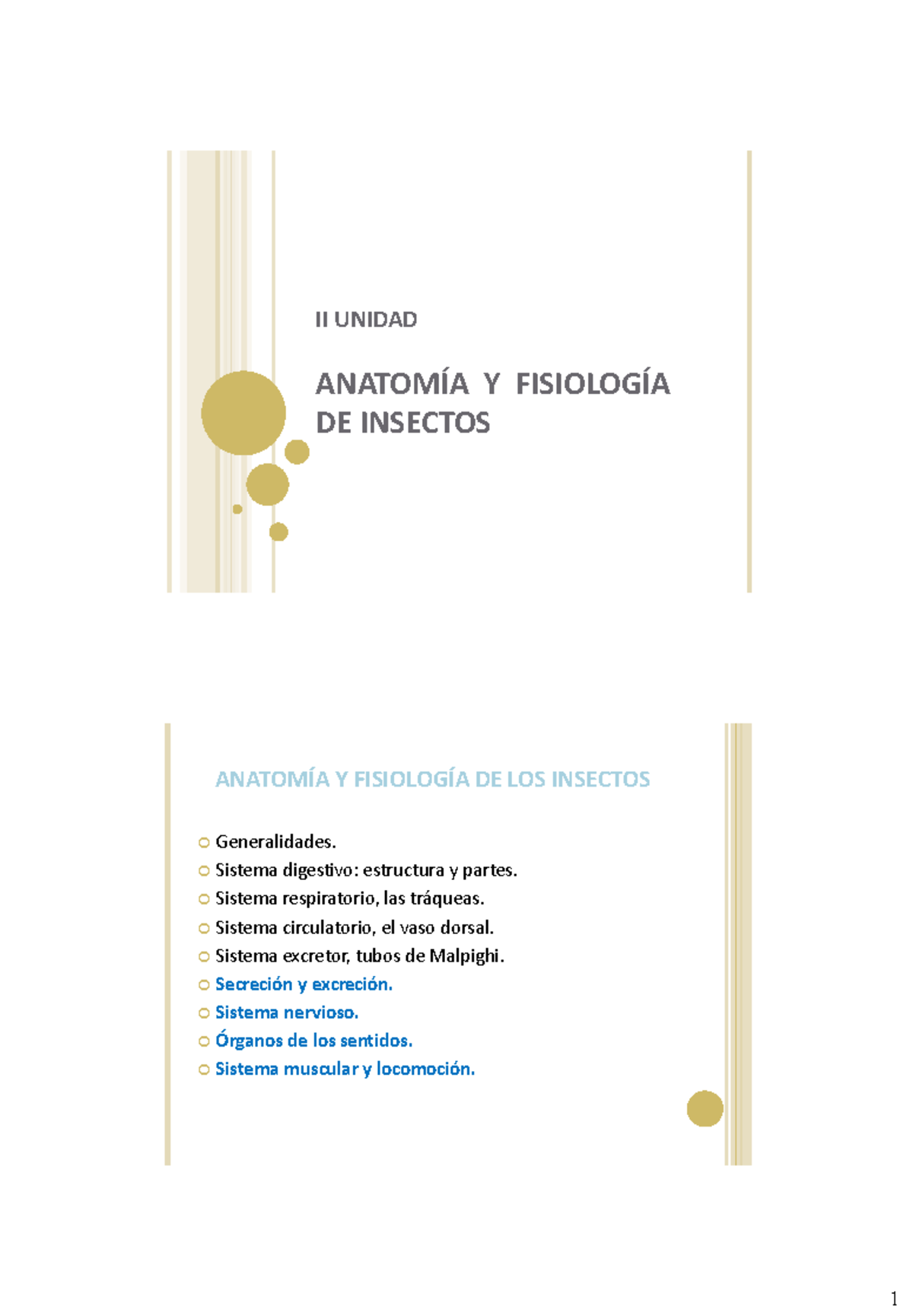 Anatomía y Fisiología de Insectos (parte 2) - 2021 II - II UNIDAD ...