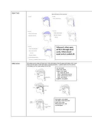 [Solved] Phoneme t is realised as a voiced alveolar stop between vowels ...