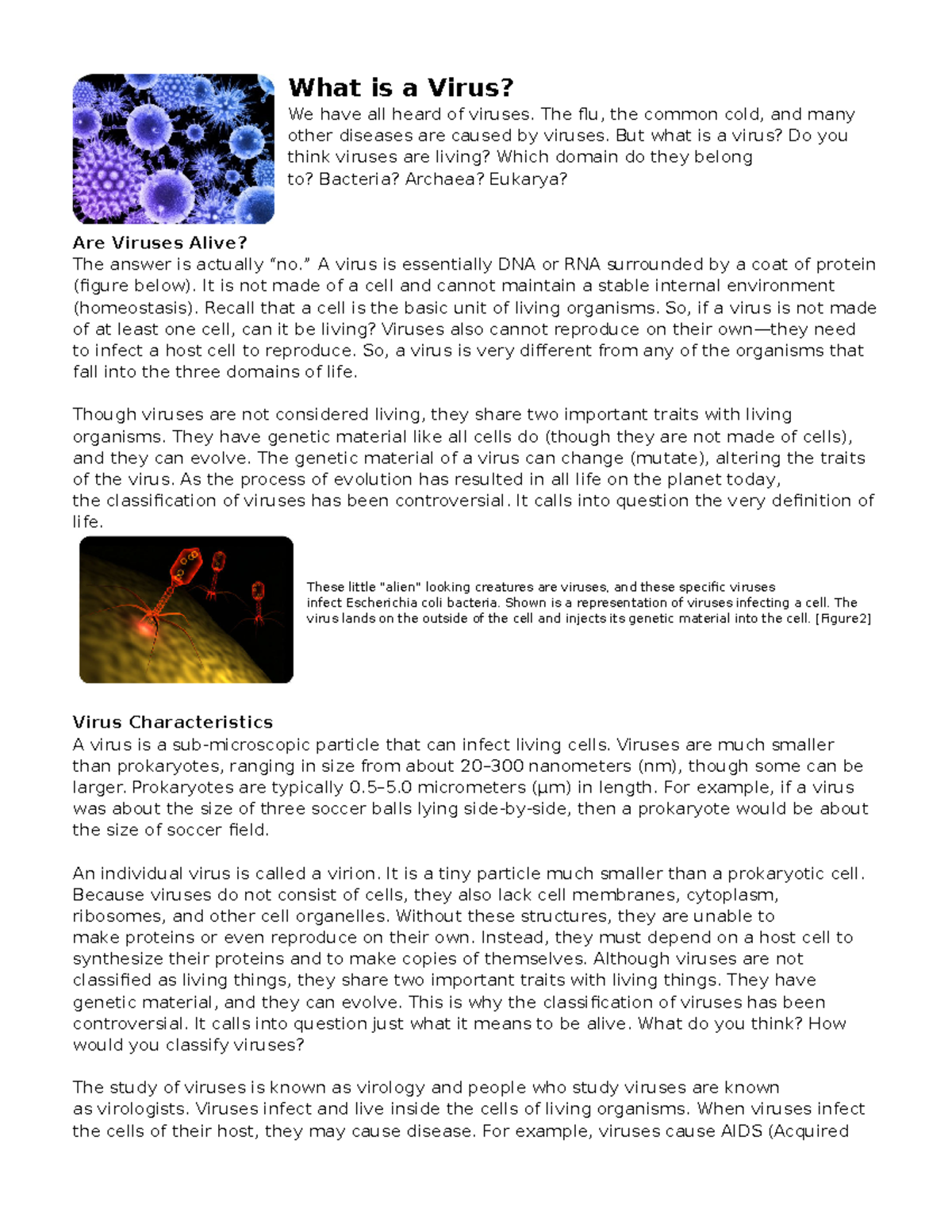 What is a Virus? In the world today? IDK - What is a Virus? We have all ...