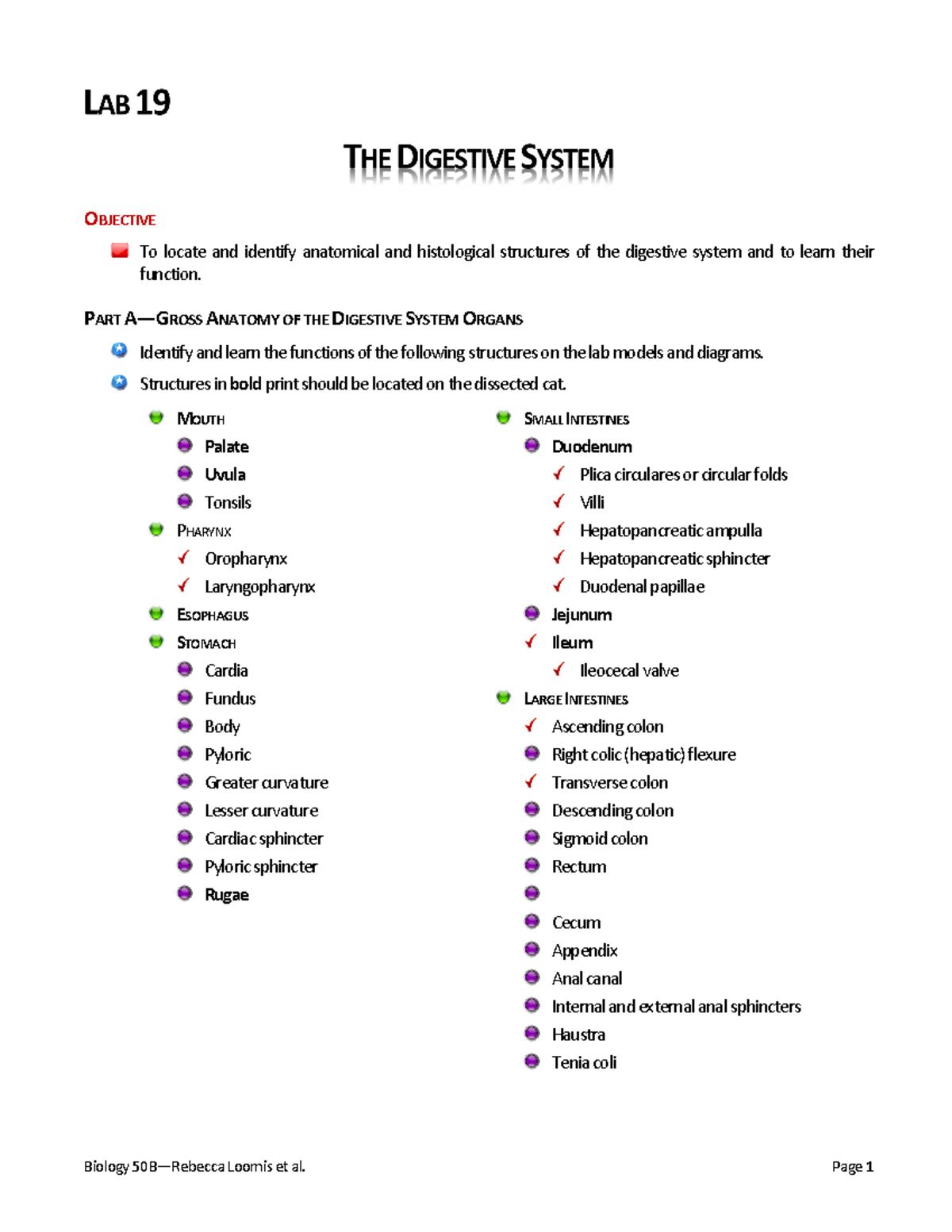 Lab 19 - Lab - OBJECTIVE To locate and identify anatomical and ...