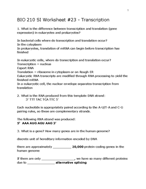 12b. KEY Worksheet #12 - Metabolism and Thermodynamics - BIO 210 CELS ...