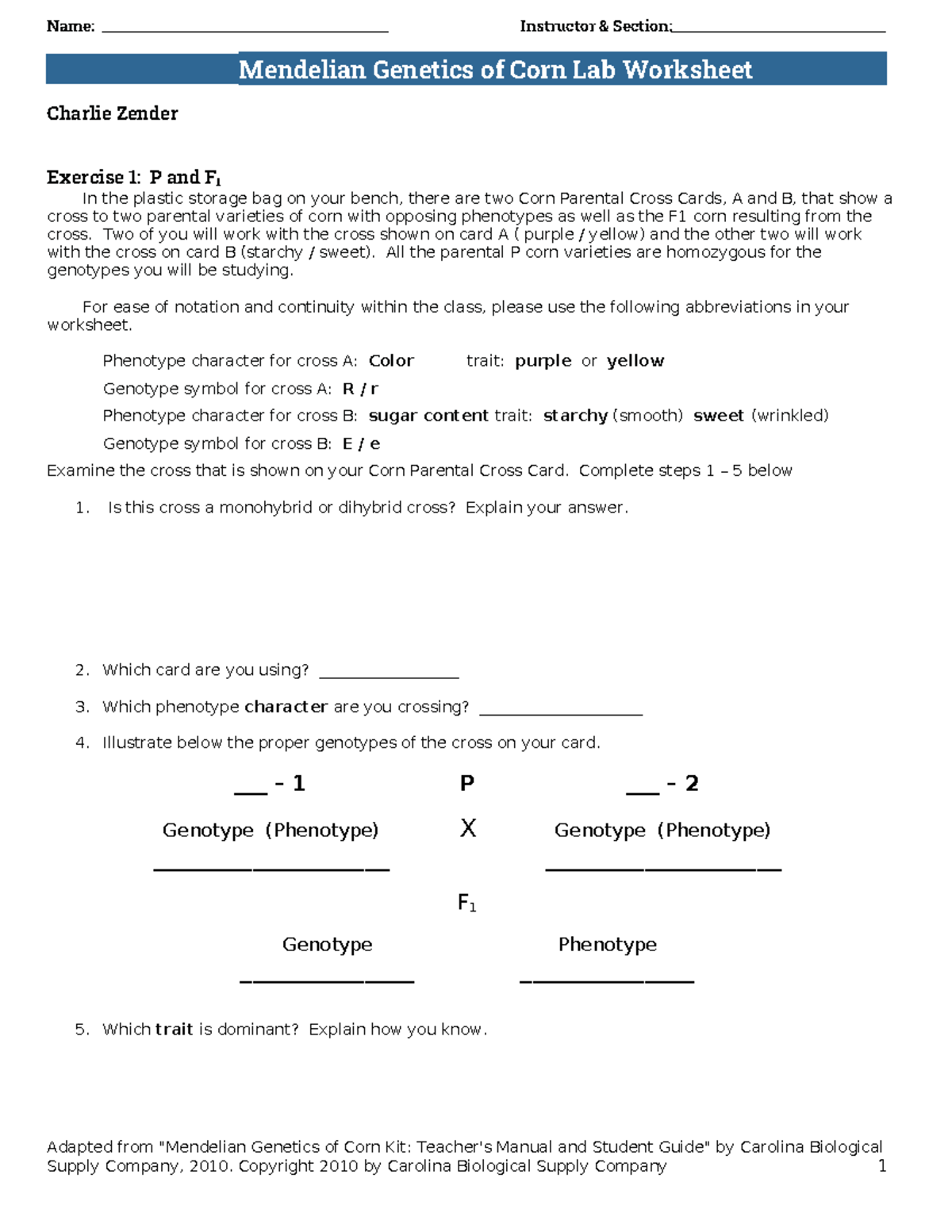 9 Mendelian Genetics of Corn Worksheet S24 - Mendelian Genetics of Corn ...