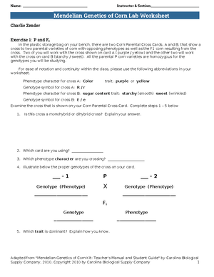 Karyotyping Activity (MB)-1 ANSWER KEY - Name Zahi Period Date ...