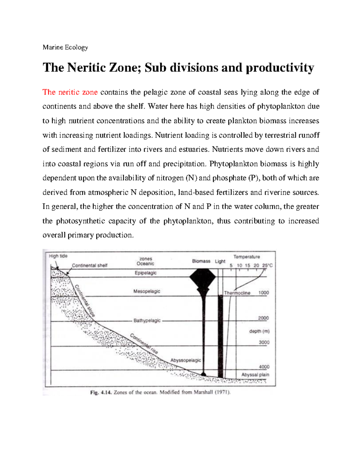 The Neritic Zone; Sub divisions and productivity - Marine Ecology - StuDocu
