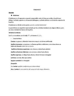 IrrigacióN Anatomia II - Arco vascular de Drummond y de Riolano En ...