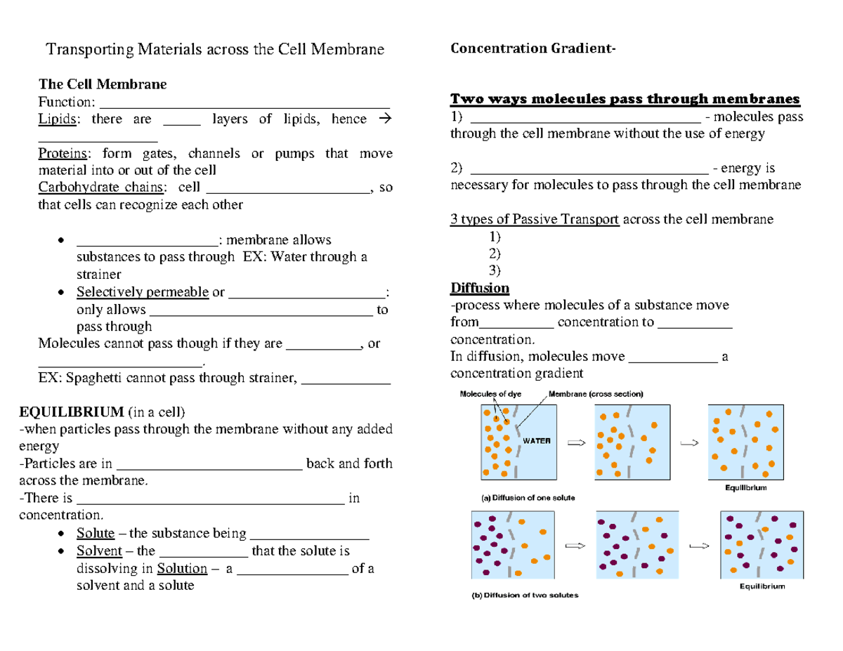 PAP Cell Transport Notes 2020-21 - Transporting Materials across the ...