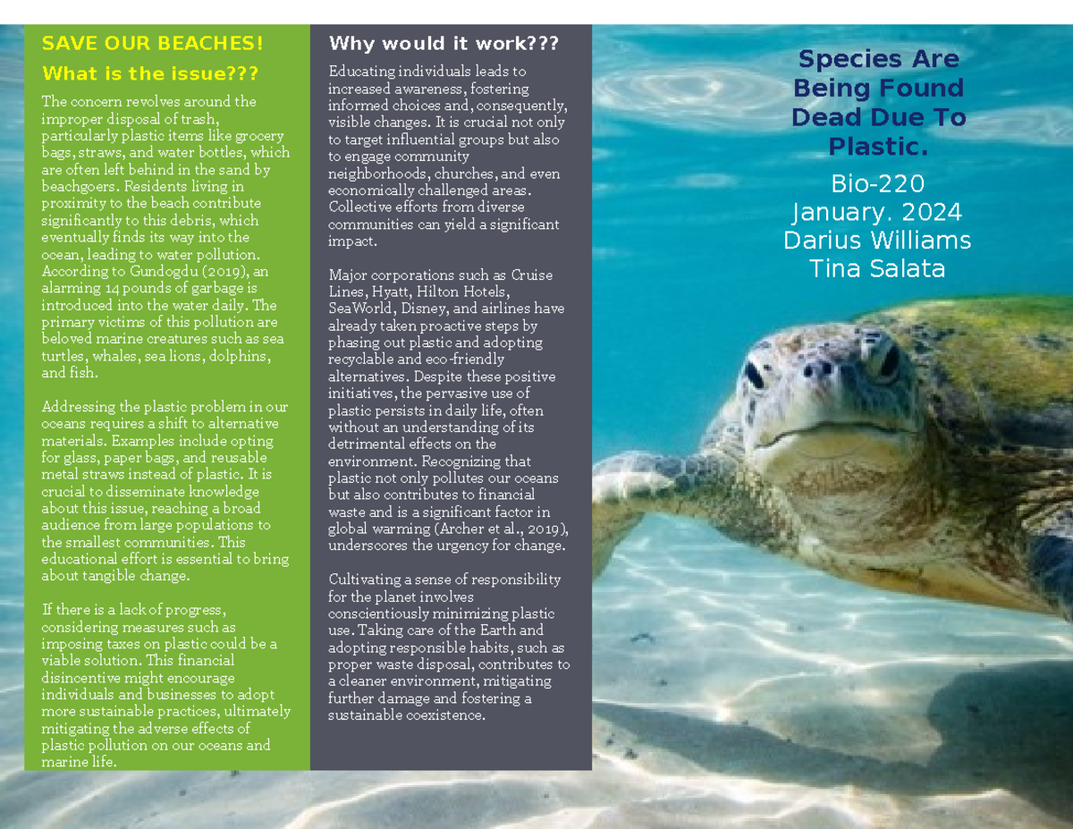 Restoration Pamphlet - SAVE OUR BEACHES! What is the issue??? The ...