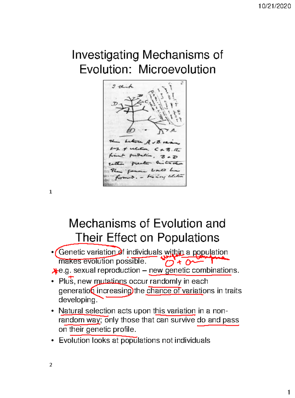 Mechanisms of Evolution Final - Investigating Mechanisms of Evolution ...