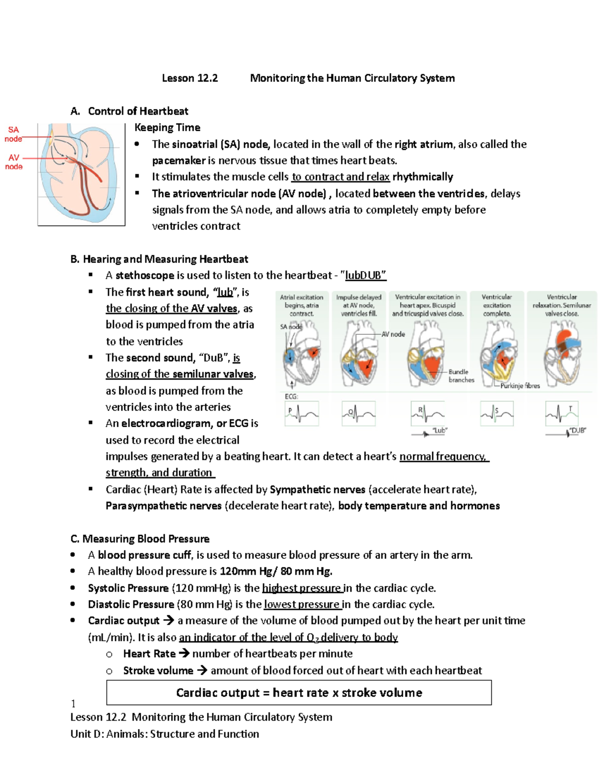 Bio_12.2_MonitoringTheHumanCirculatorySystem - Lesson 12 Monitoring the ...