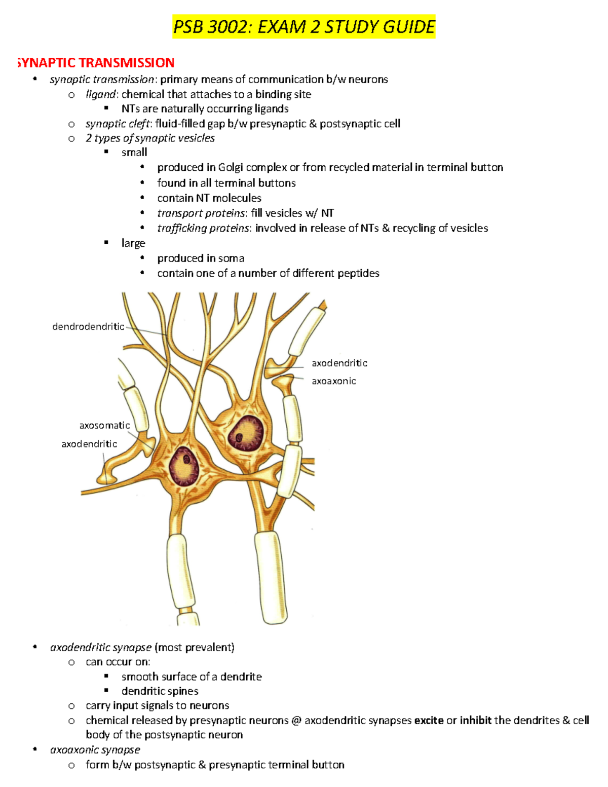 PSB 3002 Exam 2 Study Guide - PSB 3002: EXAM 2 STUDY GUIDE SYNAPTIC ...