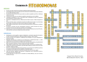 Sintomas de deficiencia de las plantas - Soto Avilés Aileen Gpe. 4 QM 3 ...