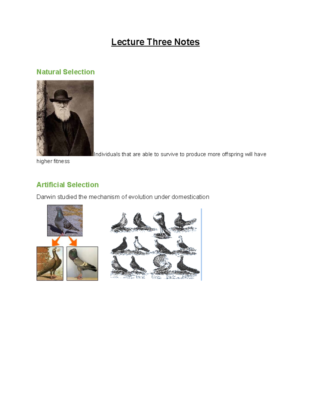 Lecture Three Notes - Natural selection, artificial selection, Finches ...