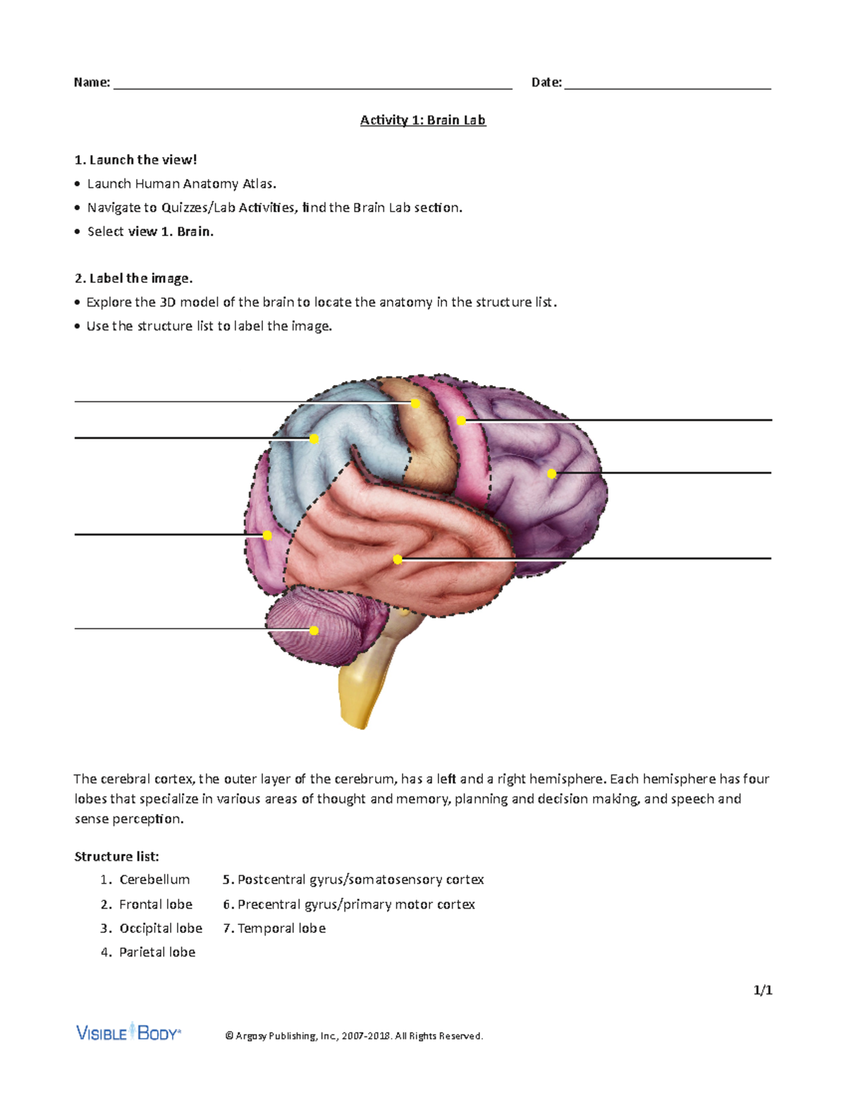 Brain lab activity 1 - minx - Name
