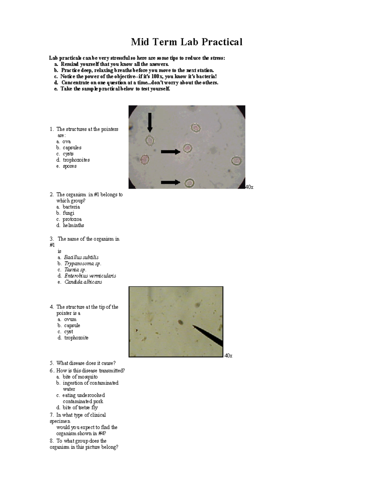 Mid Termpracticepra - Study guide - Mid Term Lab Practical Lab ...