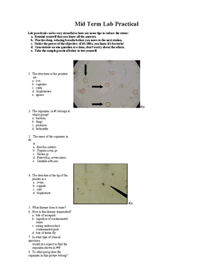 2. Gram Negative Bacteria - Microbio Final - Gram Negative Bacteria EMB ...
