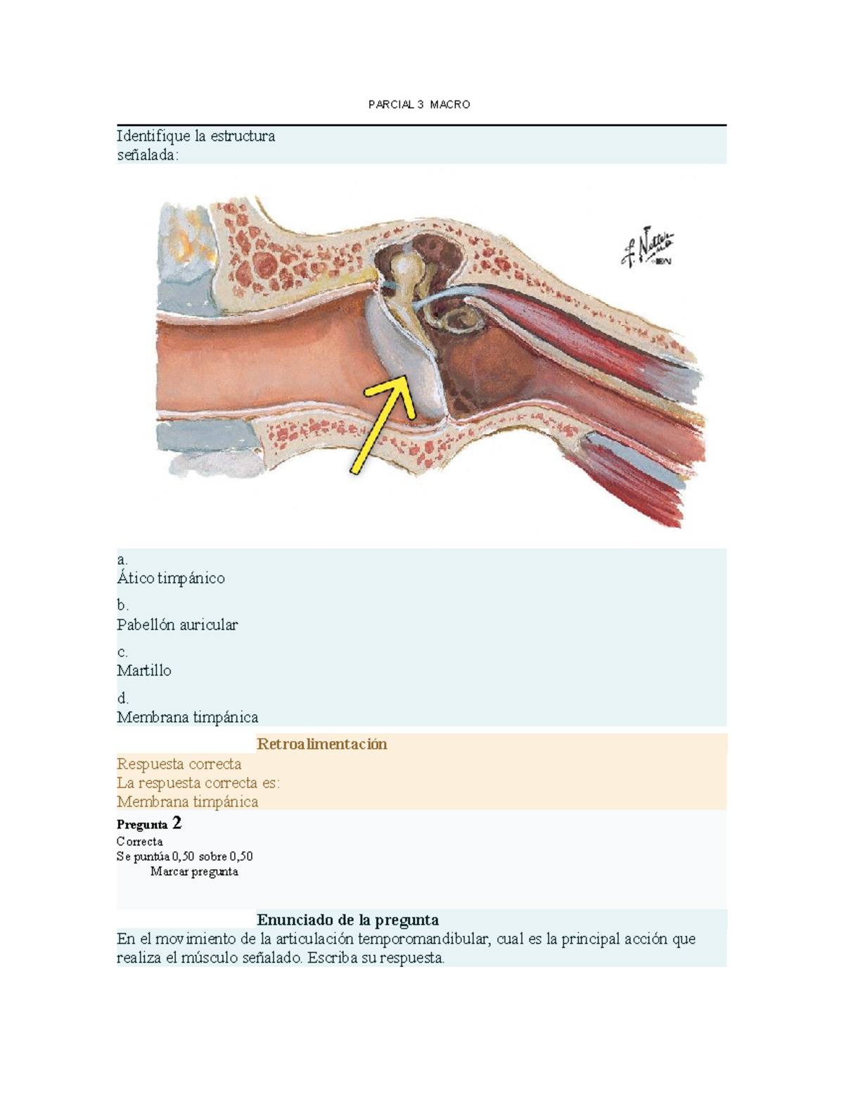 Parcial 3 Macro - PARCIAL 3 MACRO Identifique la estructura señalada: a ...