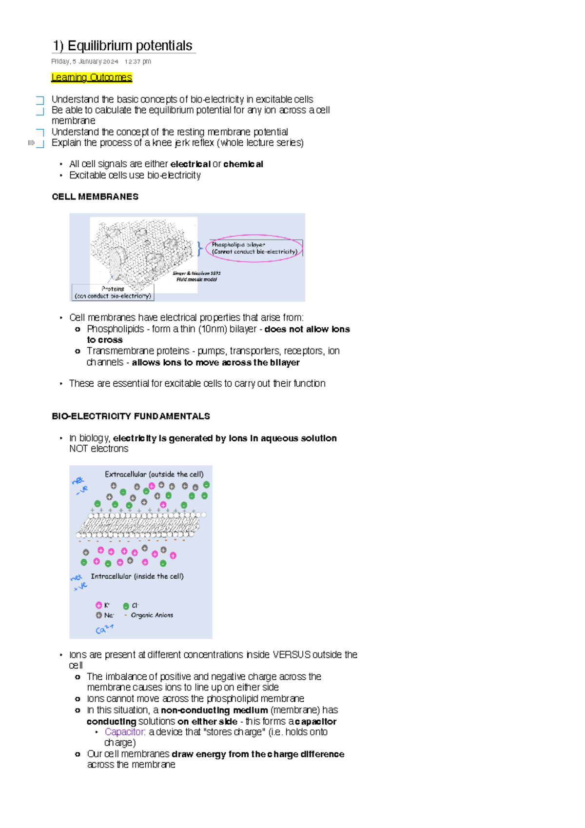 1) Equilibrium potentials - 1) Equilibrium potentials Friday, 5 January ...
