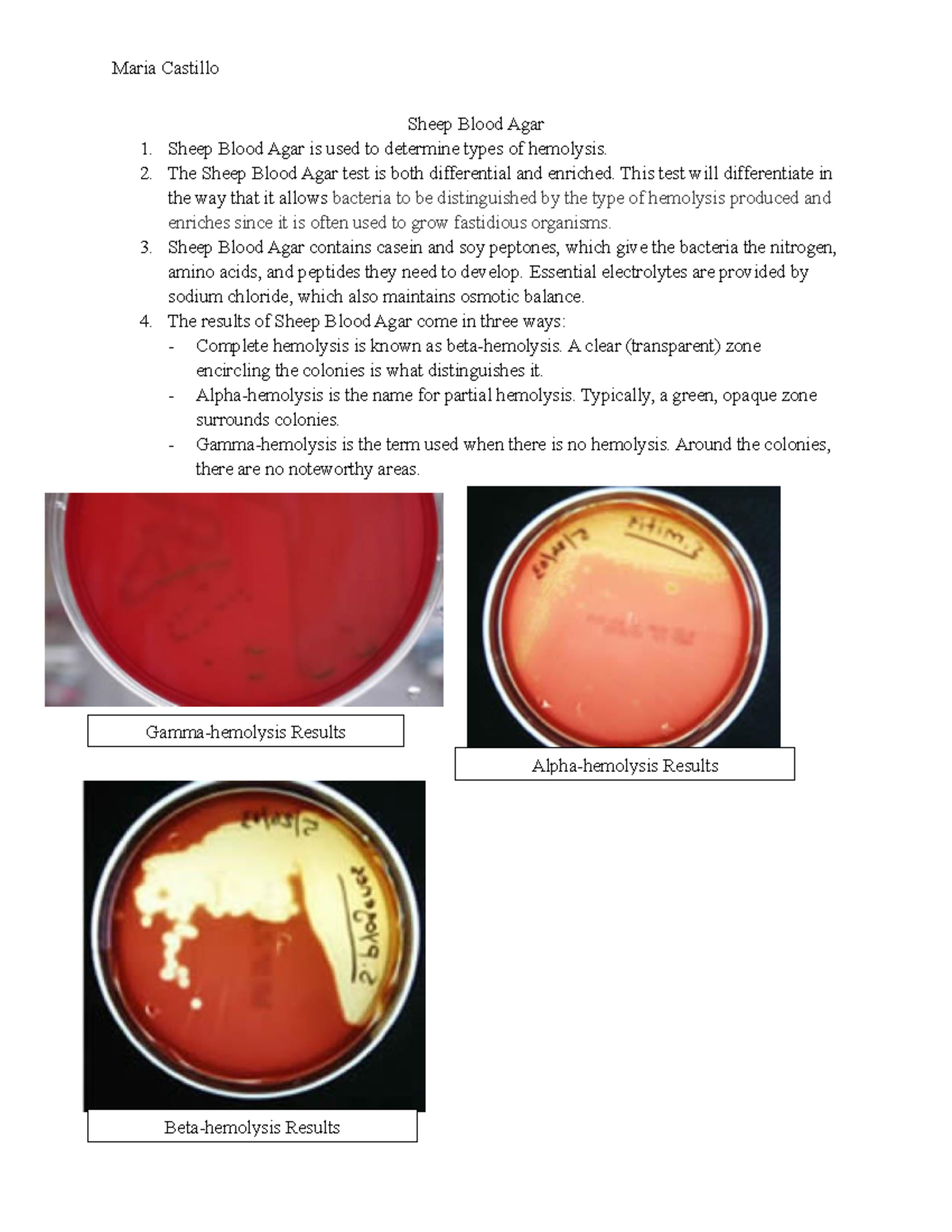 Blood Agar Results