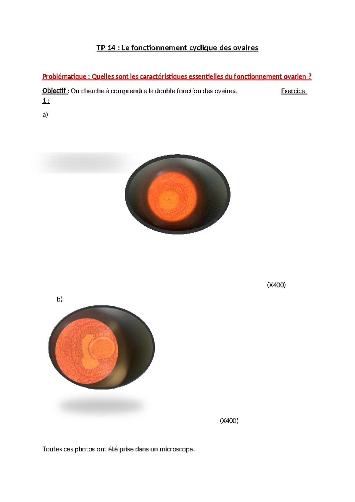 TP 14 - sdfcd - Physique-chimie - TP 14 : Le fonctionnement cyclique ...