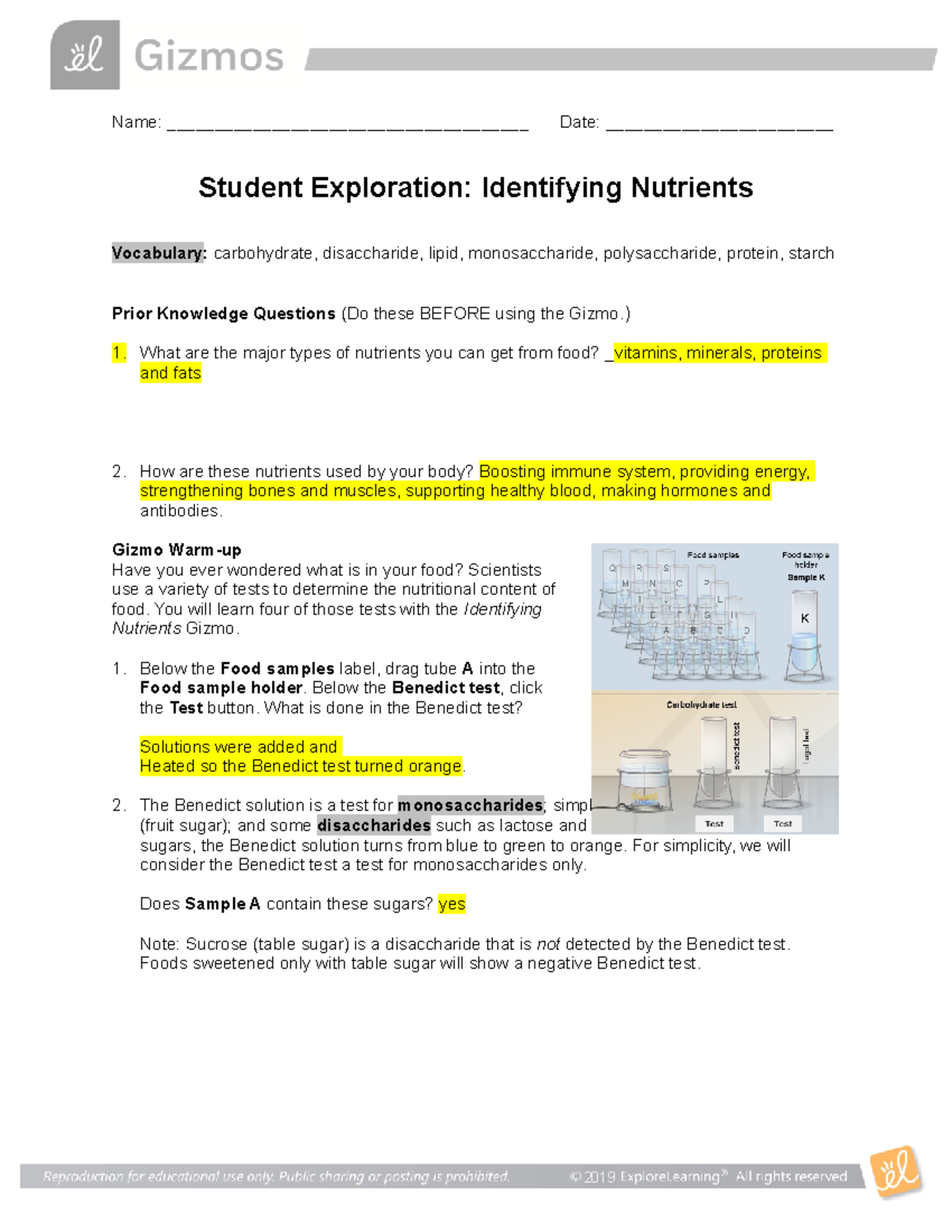Identifying Nutrients SE - Name ...