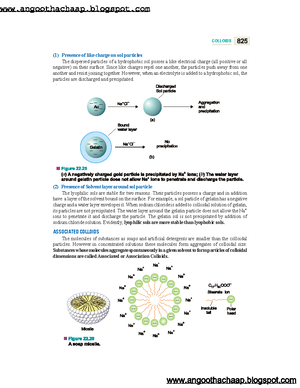 Colloids - Physical chemistry notes - 2121212121 E E E Enzyme catalysed ...