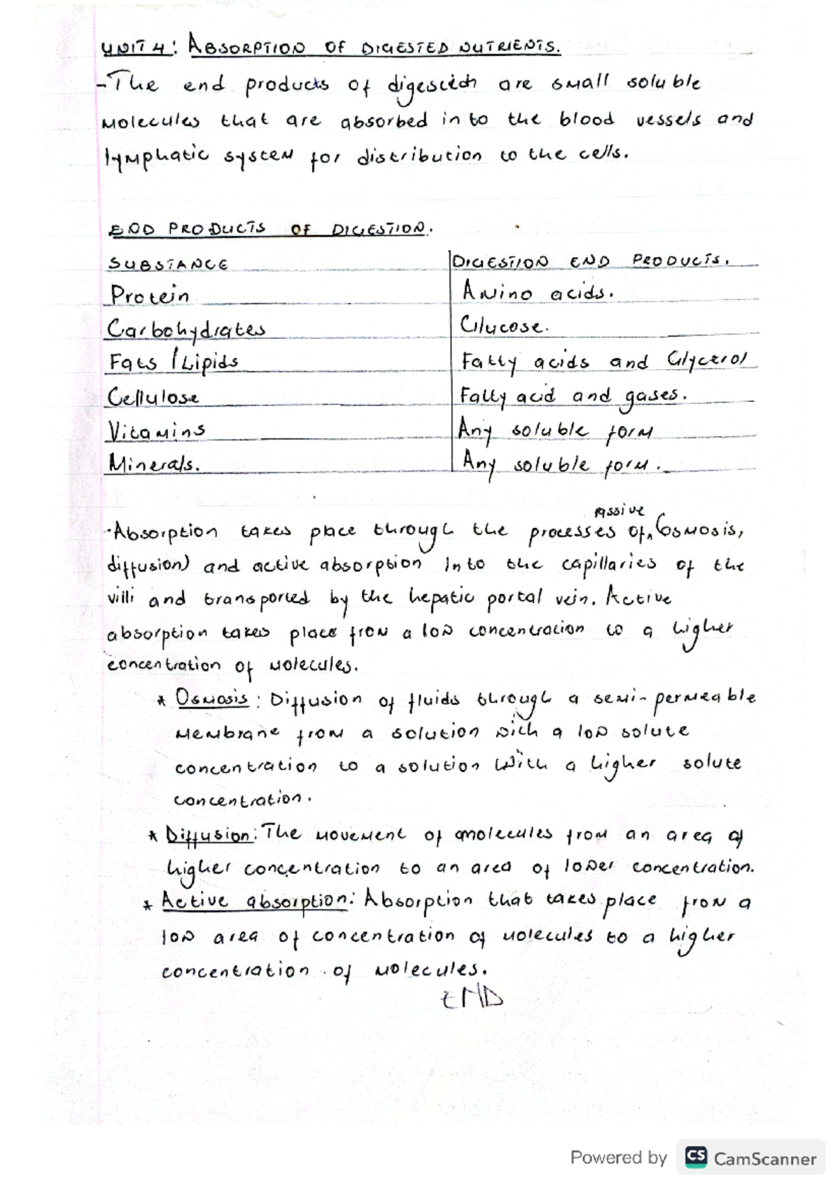 Gr12 Term1 Week3 Notes - Studocu