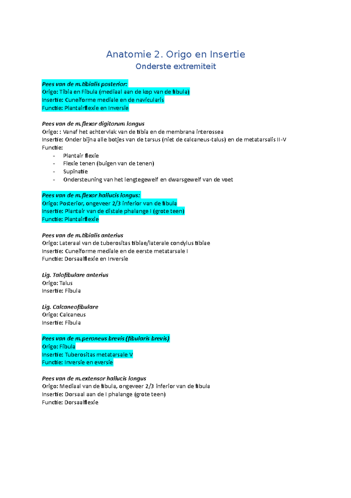 Anatomie 2 Origo Insertie - Anatomie 2. Origo en Insertie Onderste ...