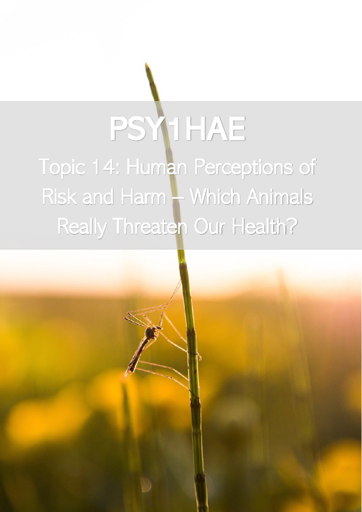 Topic 14 - Topic 1 4 : Human Perception of Risk and Harm – Which ...