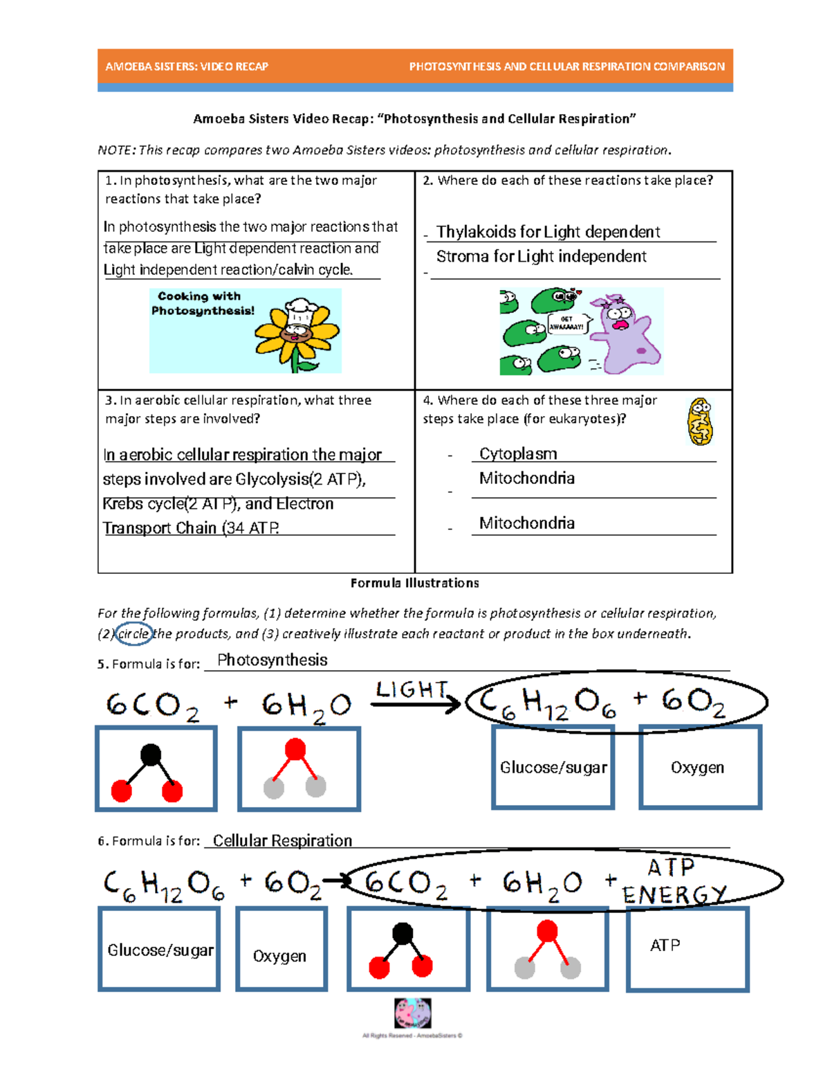 Video Recap Comparing Photosynthesis And Cellular Respiration By Amoeba