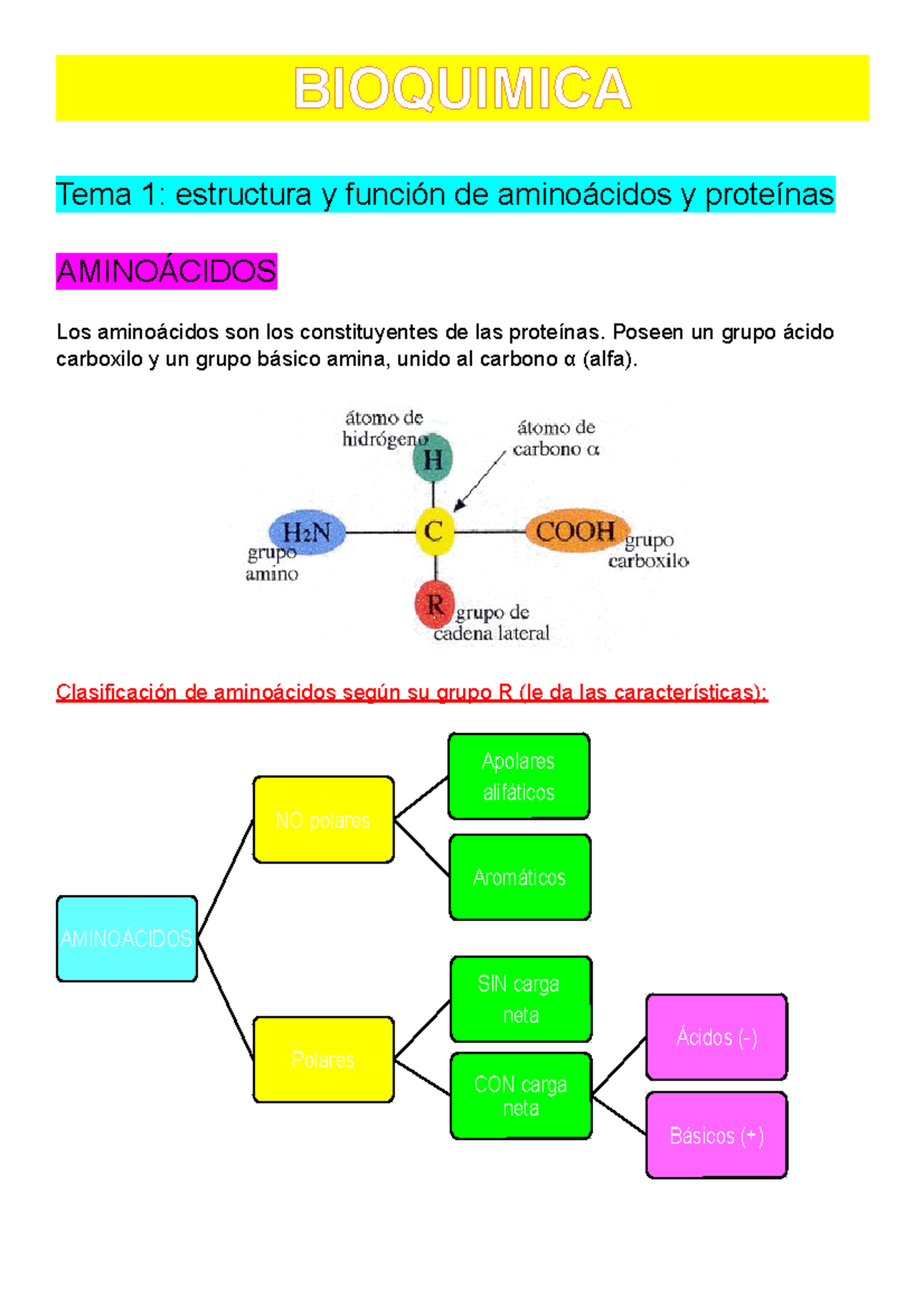 Bioquimica - BIOQUIMICA Tema 1: estructura y función de aminoácidos y ...