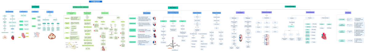 Organizador+ Visual+(Corazon)++N°06 (1) - CORAZON ANATOMIA ESTIMULACION ...