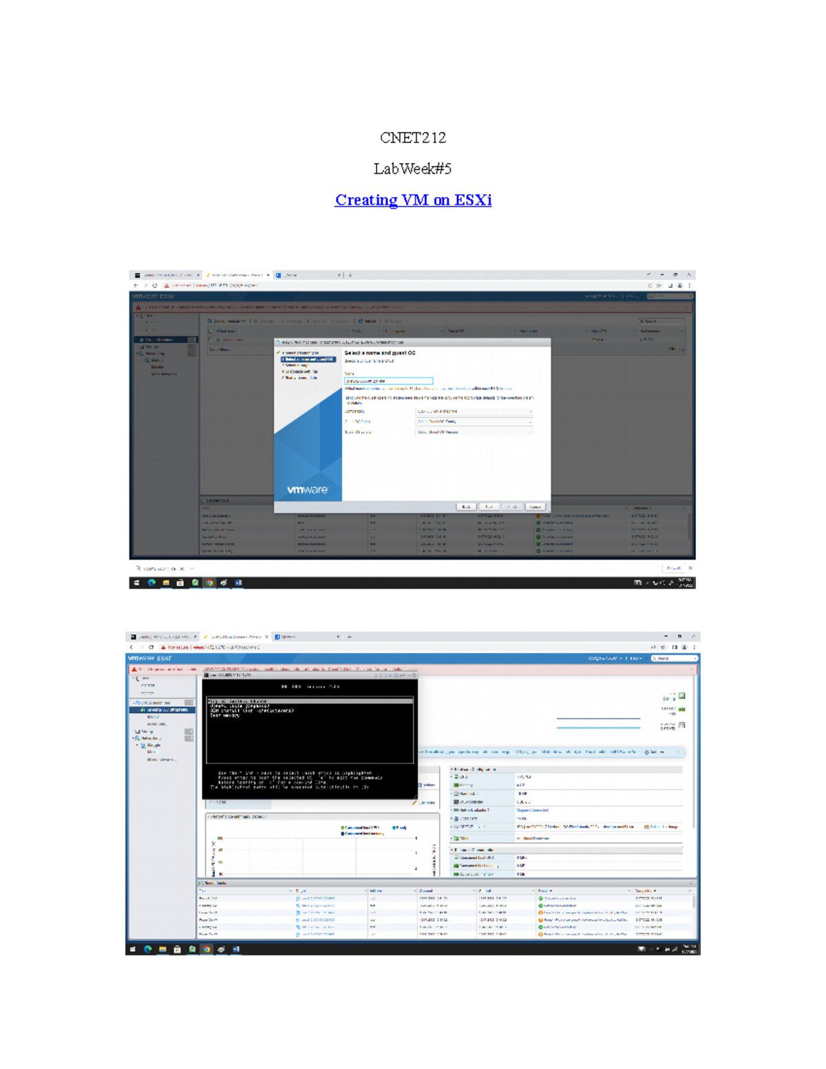 Creating Vm On Esxi Lab5 Cnet 212 Cnet Labweek Creating Vm On