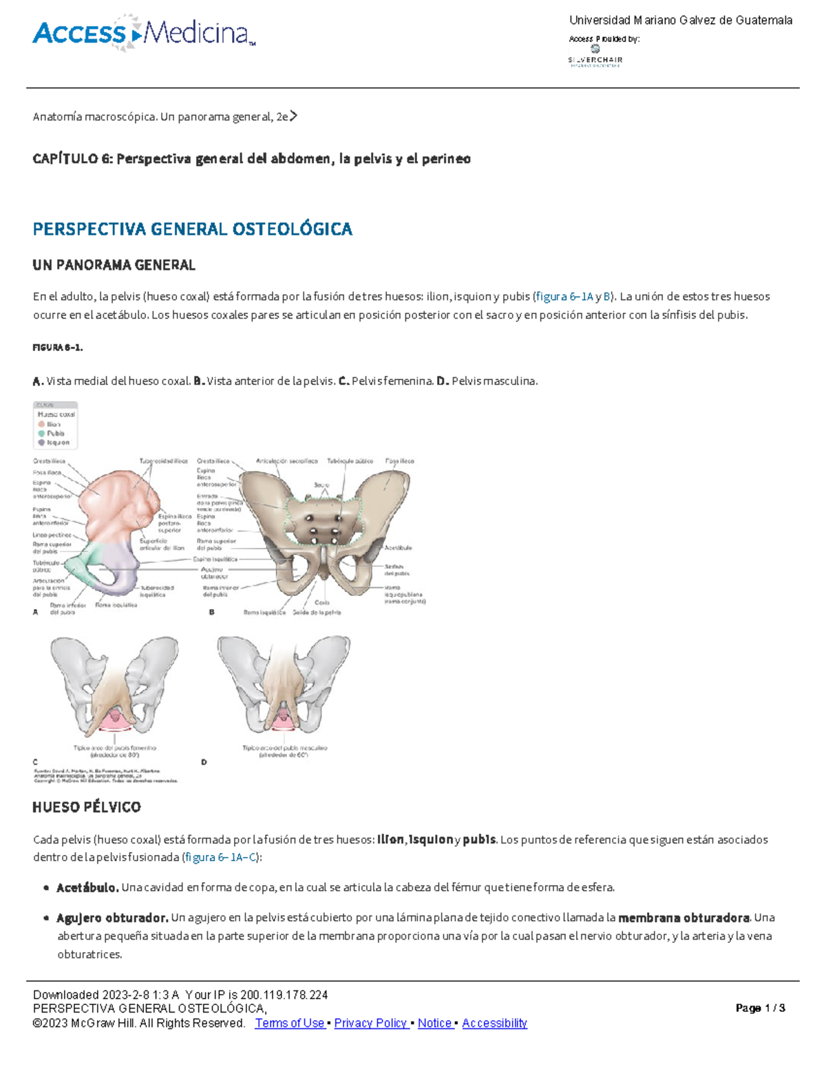 Perspectiva General OsteolóGICA - Anatomía macroscópica. Un panorama general, 2e CAPÍTULO 6 ...