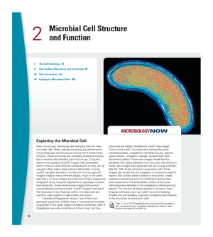 Anaphy Lesson 2 22o leg8 4k hd - HUMAN ANATOMY AND PHYSIOLOGY BSN 1105 ...