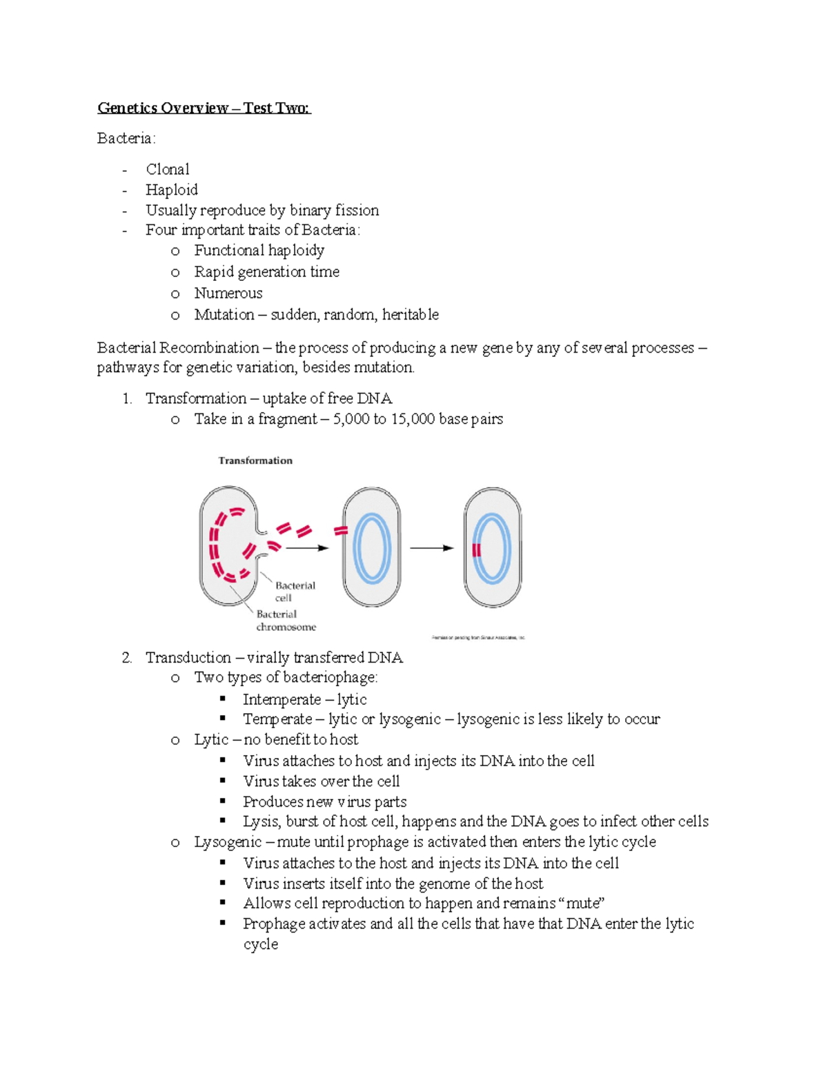 Genetis test two study guide - Genetics Overview – Test Two: Bacteria ...