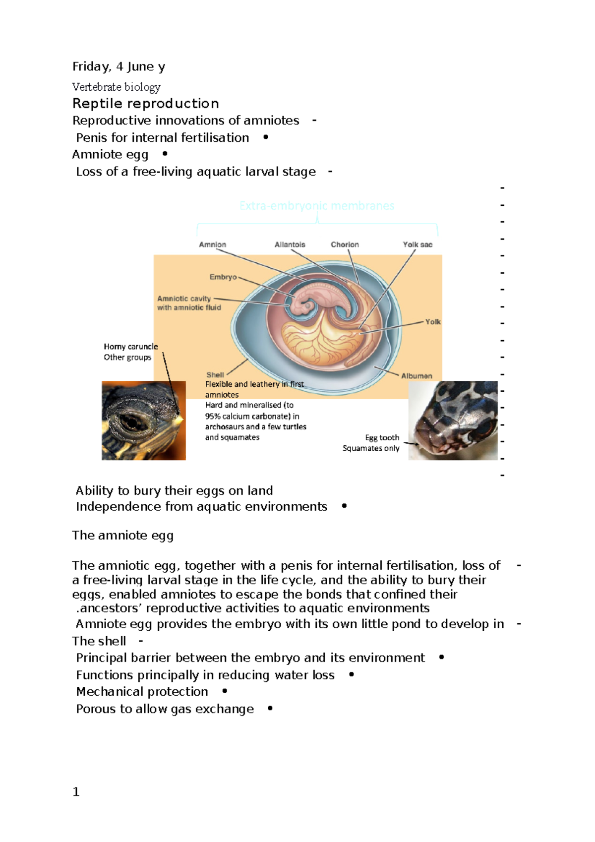 Reproduction in reptiles - Vertebrate biology Reptile reproduction ...