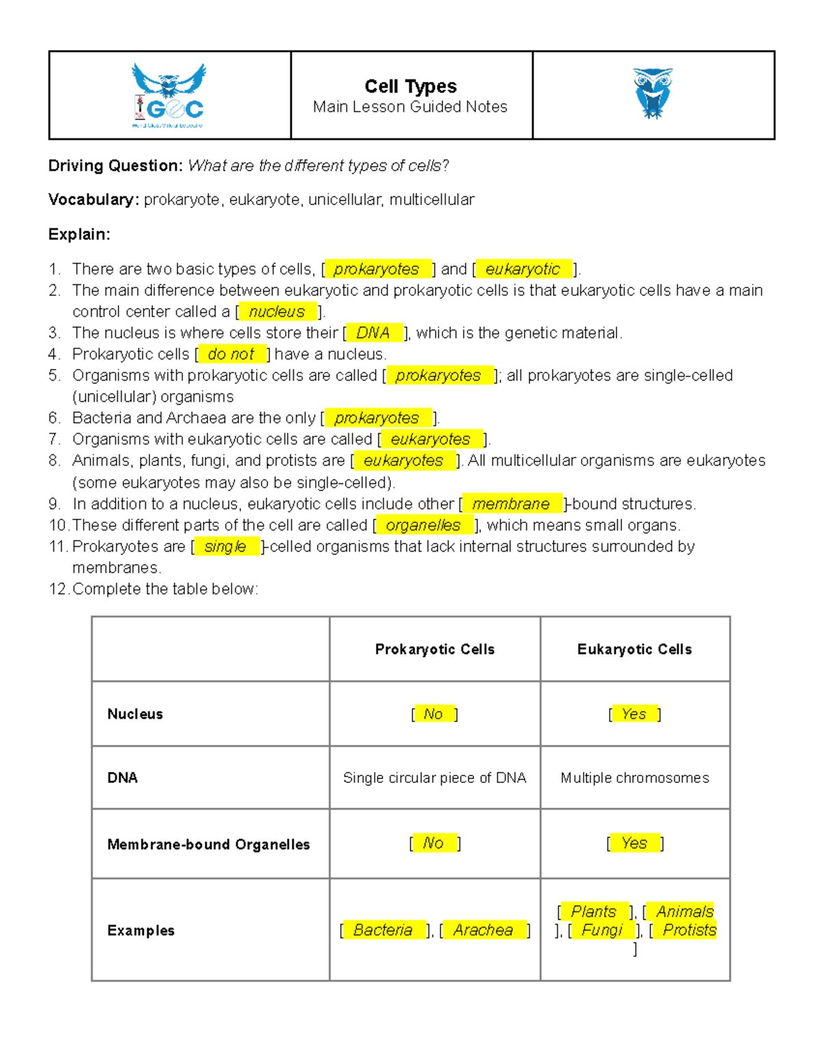 Cell Types Guided Notes - Cell Types Main Lesson Guided Notes Driving ...