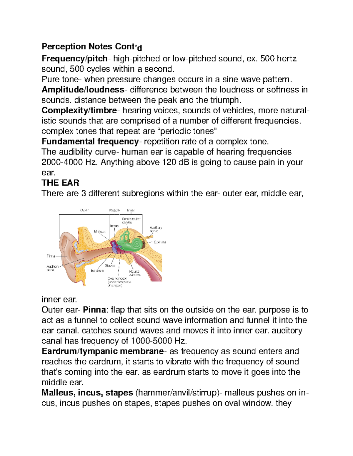 The ear notes - Perception Notes Cont’d Frequency/pitch- high-pitched ...