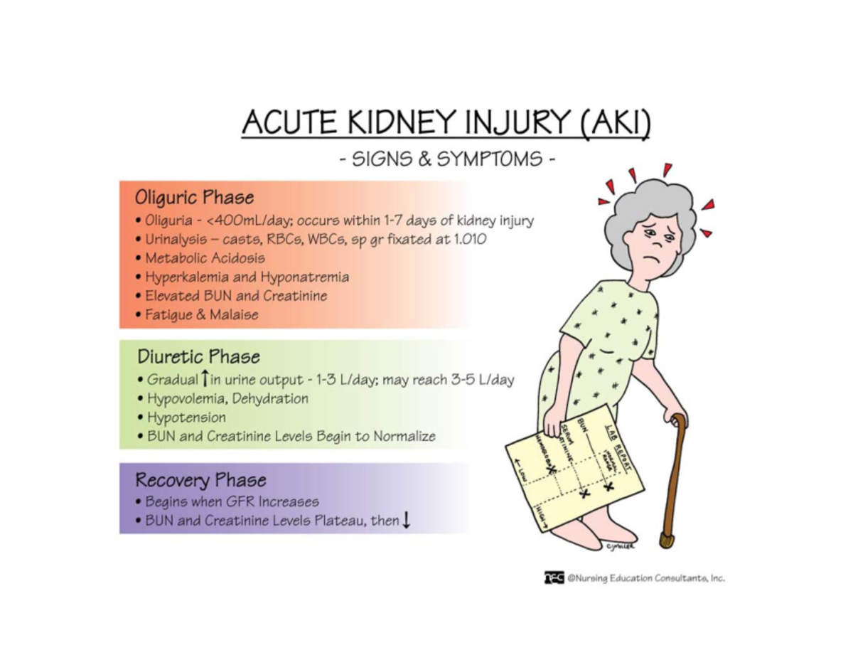 acute kidney and chronic kidney diseased - ACUTE KIDNEY INJURY (AKI ...