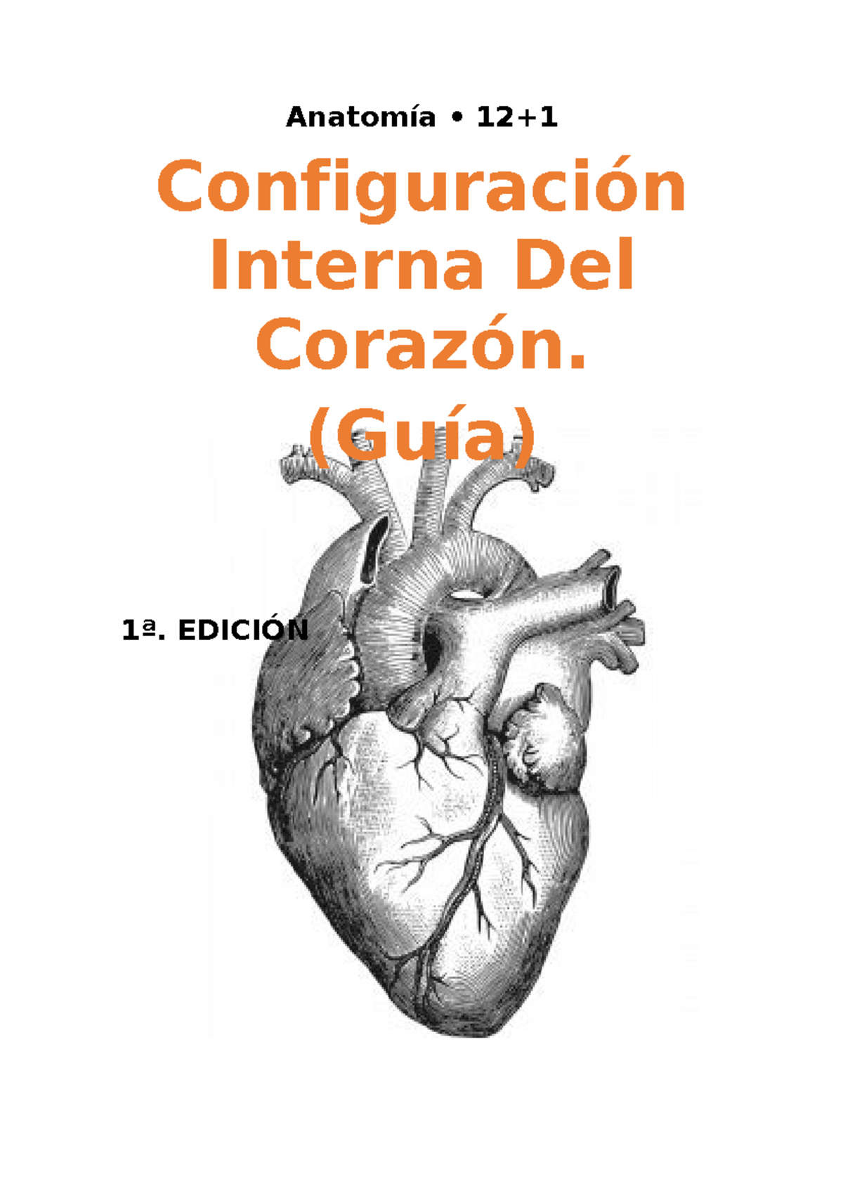 Configuración interna del corazón - Anatomía • 12+ Configuración ...